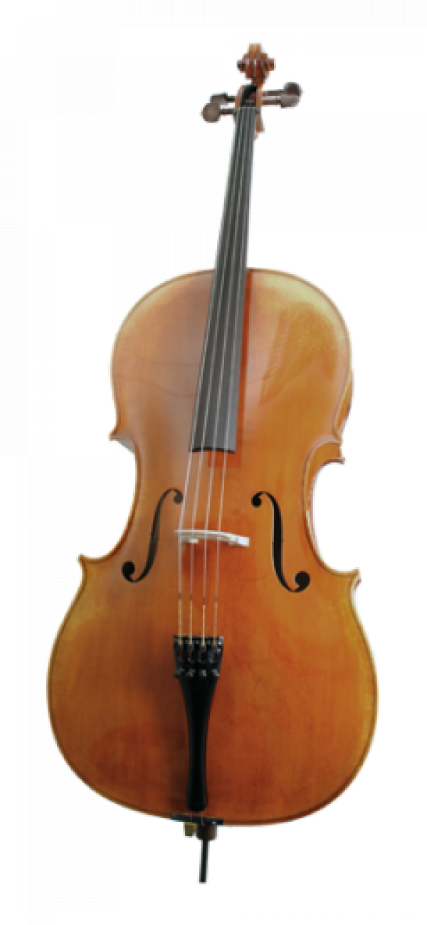 VIOLONCELLI - STRUMENTI AD ARCO - Zecchini - Strumenti Musicali