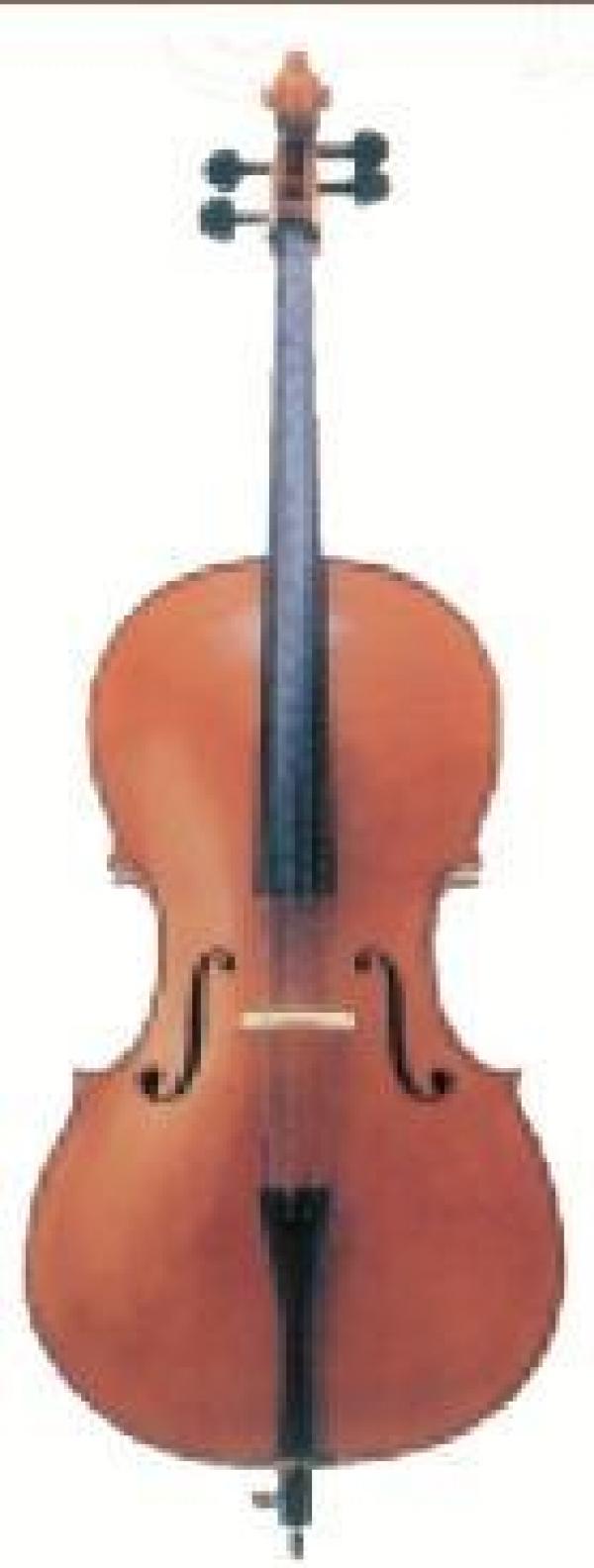 VIOLONCELLI - STRUMENTI AD ARCO - Zecchini - Strumenti Musicali