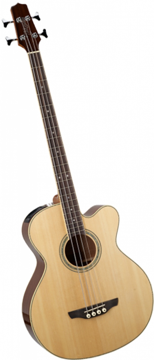 TAKAMINE egb2sn basso acustico - Zecchini - Strumenti Musicali